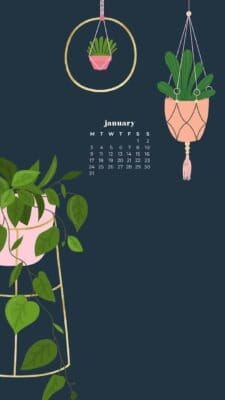 January 2022 wallpapers – 45 FREE calendars for your desktop & phone!