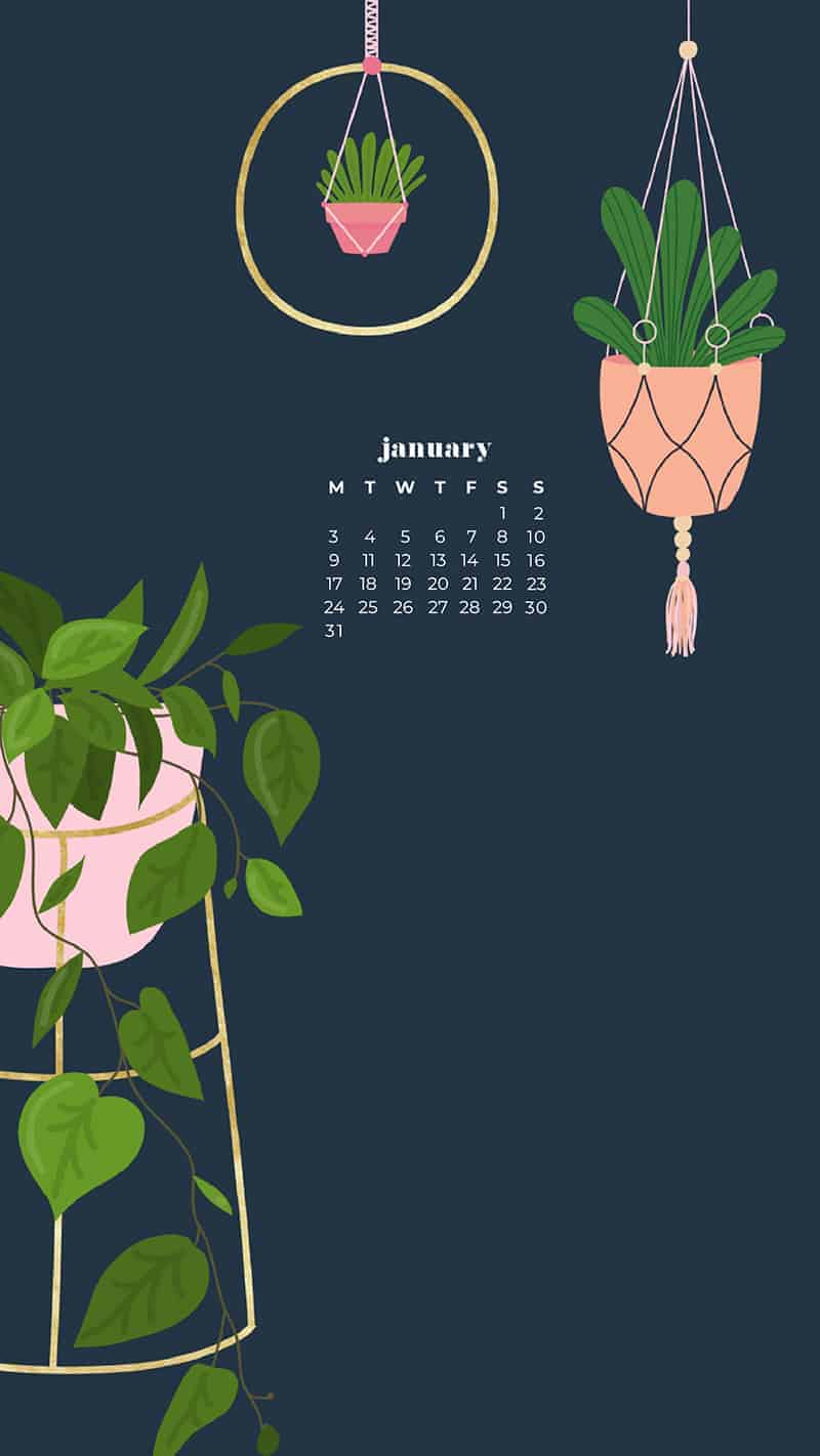 January 2022 wallpapers – 45 FREE calendars for your desktop & phone!