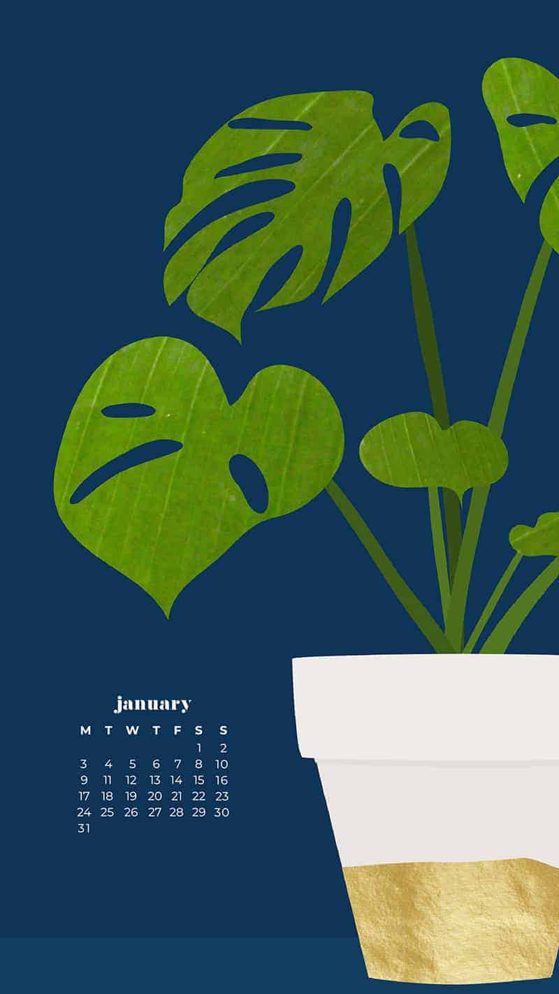 January 2022 wallpapers – 45 FREE calendars for your desktop & phone!