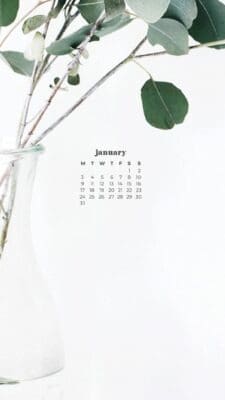 January 2022 wallpapers – 45 FREE calendars for your desktop & phone!