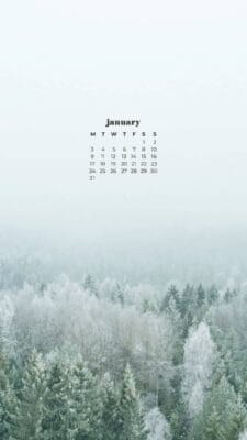 January 2022 wallpapers – 45 FREE calendars for your desktop & phone!