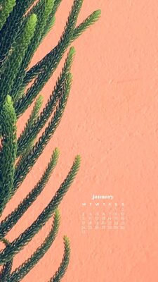 January 2022 wallpapers – 45 FREE calendars for your desktop & phone!