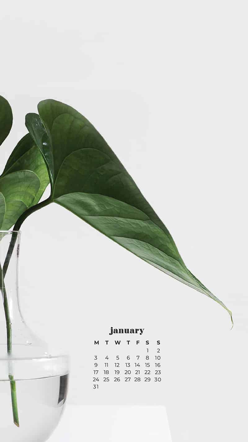 January 2022 wallpapers – 45 FREE calendars for your desktop & phone!