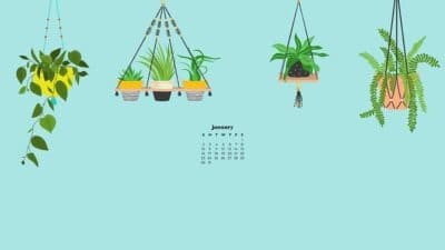 January 2022 wallpapers – 45 FREE calendars for your desktop & phone!