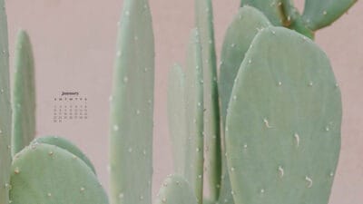 January 2022 wallpapers – 45 FREE calendars for your desktop & phone!