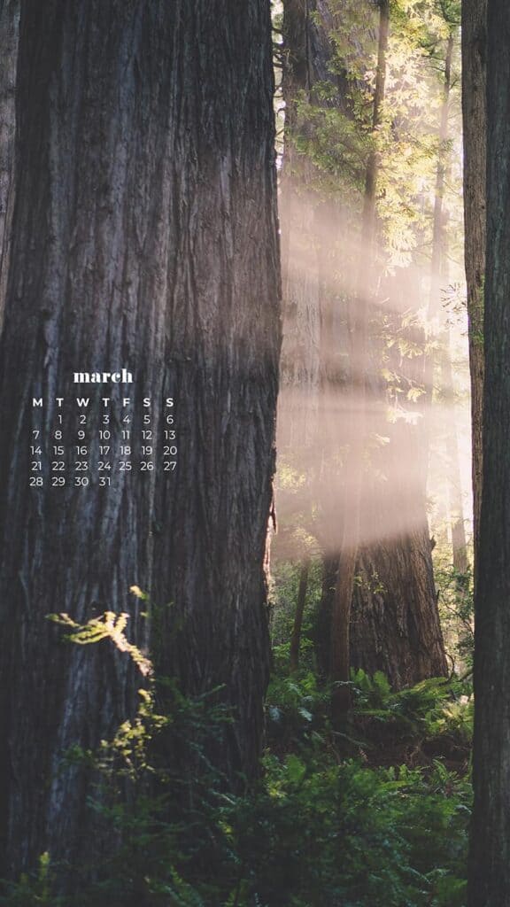 March 2022 wallpapers – 55 FREE calendars for your desktop & phone!