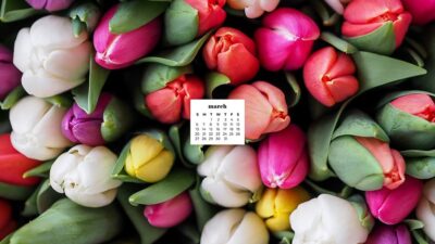 March 2022 wallpapers – 55 FREE calendars for your desktop & phone!