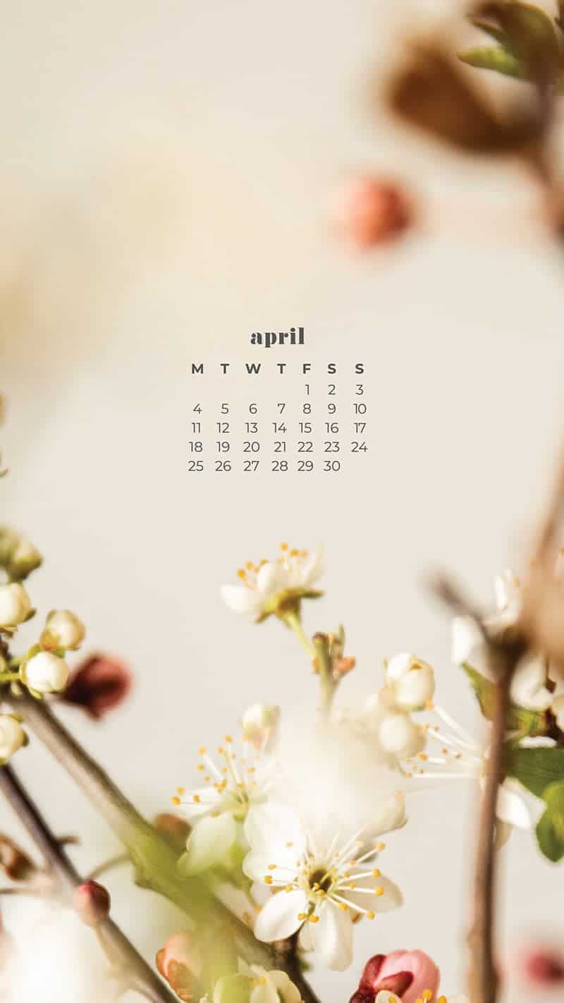 April 2022 wallpapers – 55 FREE calendars for your desktop & phone!