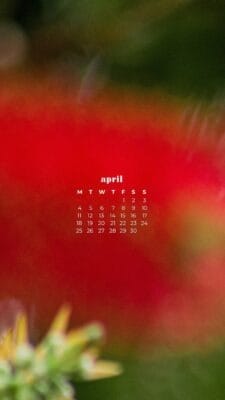 April 2022 wallpapers – 55 FREE calendars for your desktop & phone!