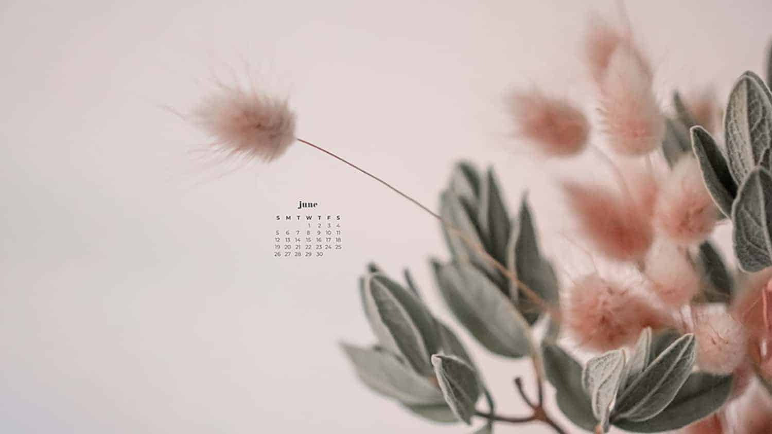 June 2022 wallpapers – 55 FREE calendars for your desktop & phone!
