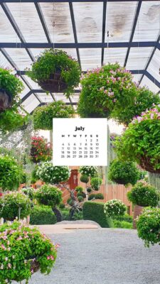 July 2022 wallpapers – 55 FREE & beautiful desktop & phone calendars!