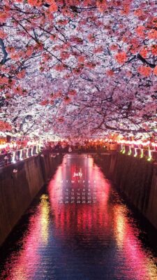 July 2022 wallpapers – 55 FREE & beautiful desktop & phone calendars!