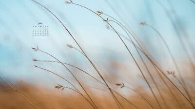 July 2022 wallpapers – 55 FREE & beautiful desktop & phone calendars!