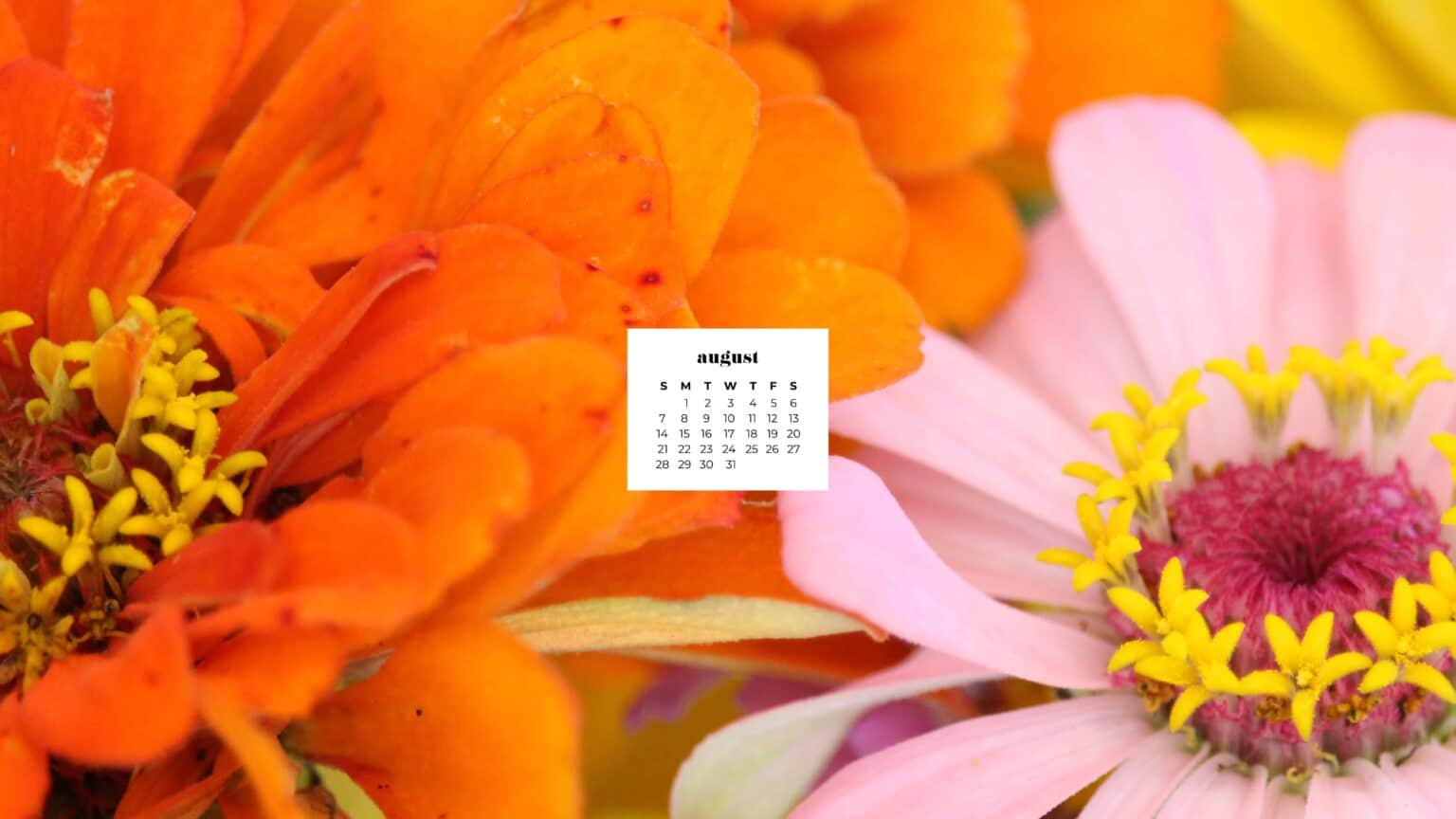August 2022 wallpapers – 55 FREE desktop & phone calendars!