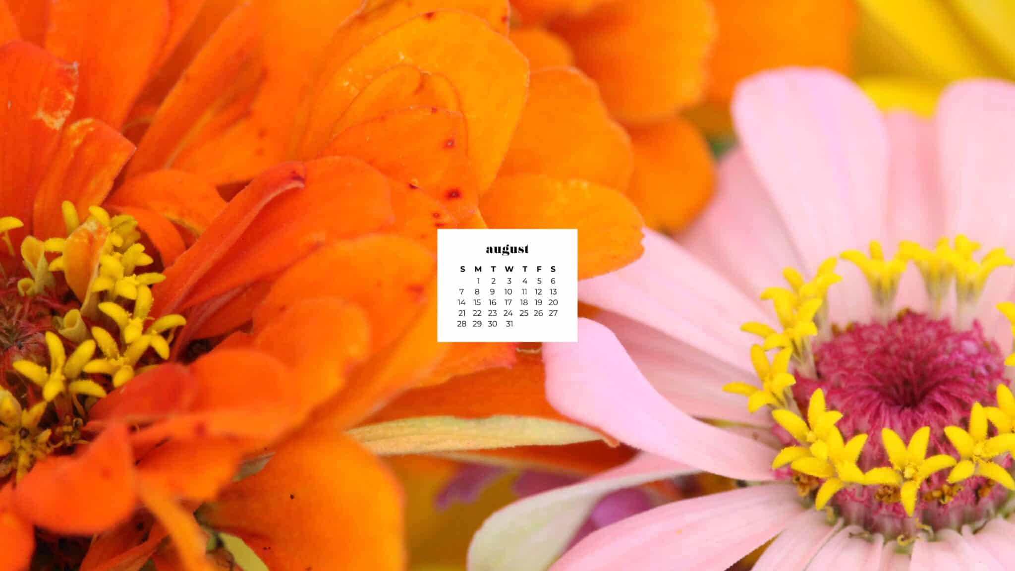 August 2022 wallpapers – 55 FREE desktop & phone calendars!