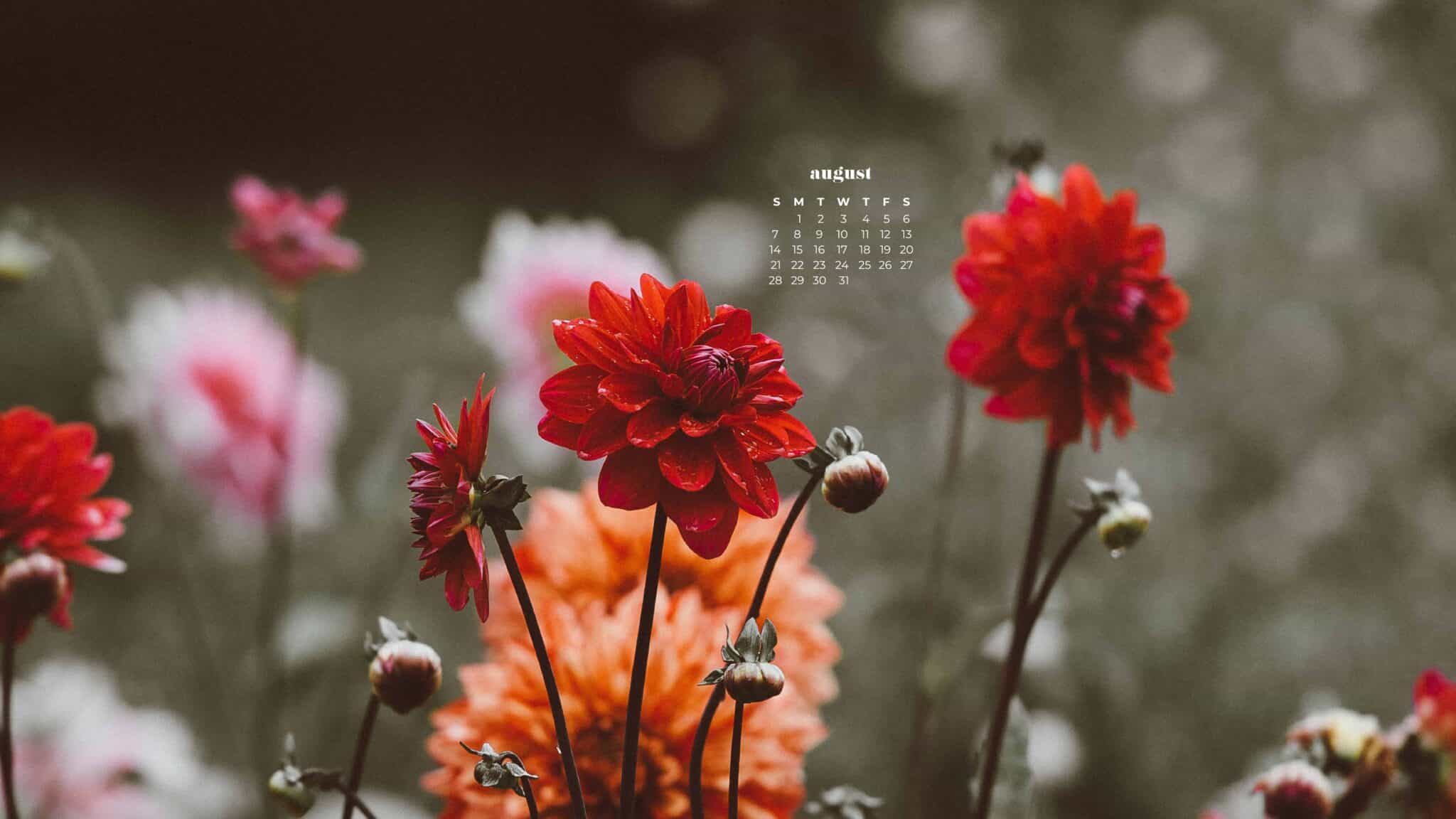 August 2022 wallpapers – 55 FREE desktop & phone calendars!