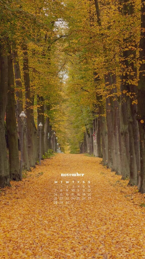 November 2022 wallpapers – 59 FREE desktop & phone calendars