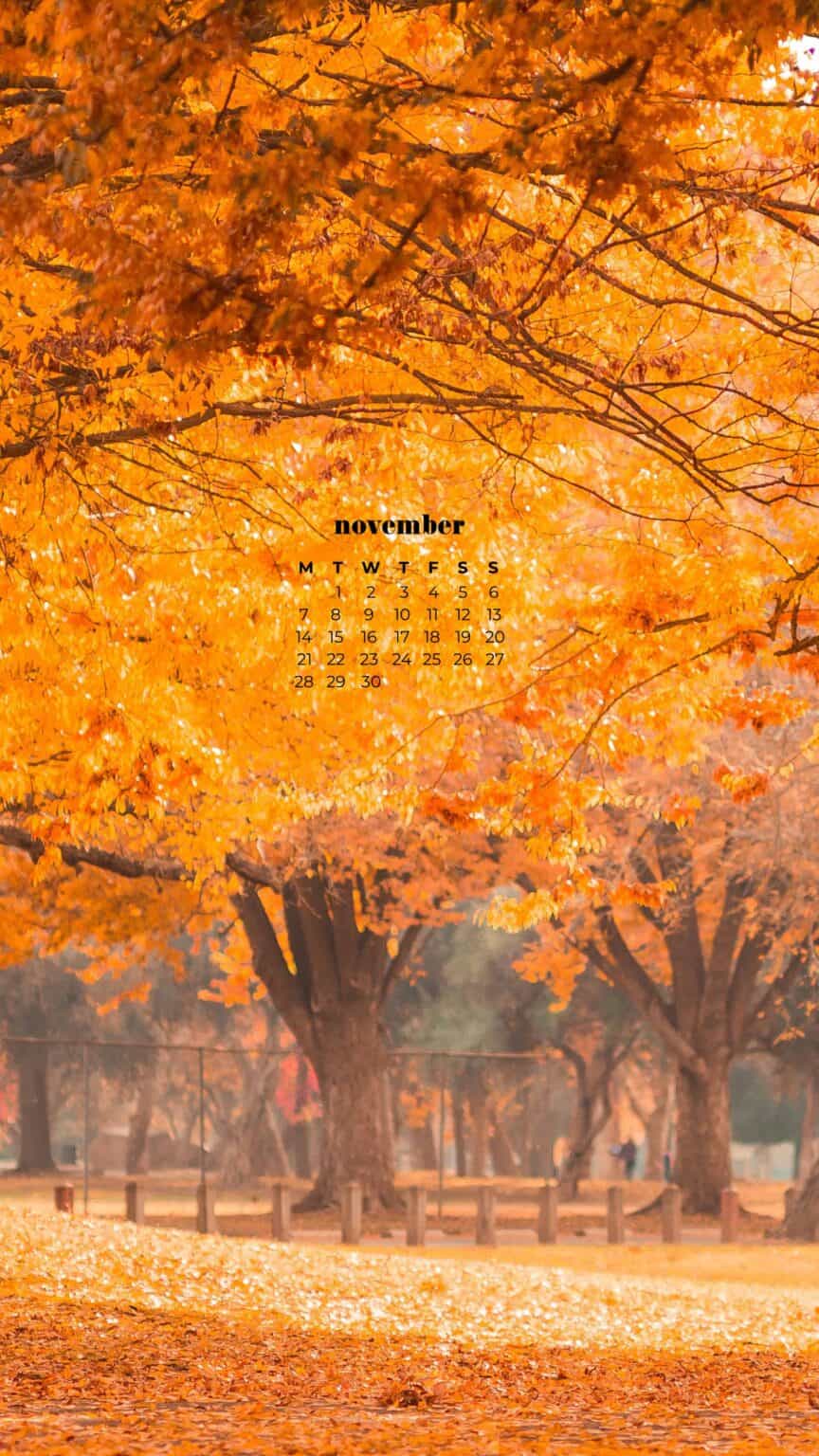November 2022 wallpapers – 59 FREE desktop & phone calendars