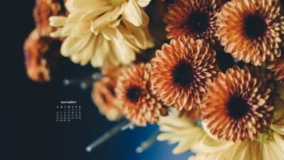 November 2022 wallpapers – 59 FREE desktop & phone calendars