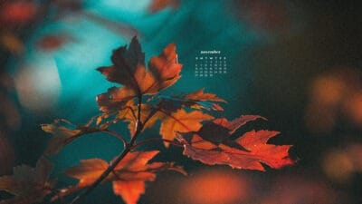 November 2022 wallpapers – 59 FREE desktop & phone calendars
