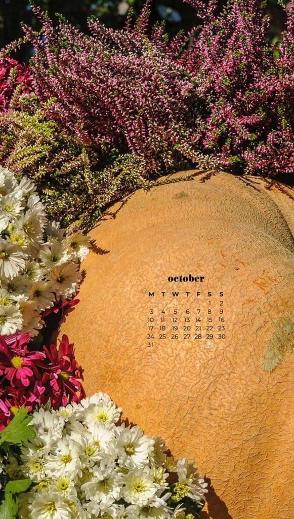 October 2022 wallpapers – 60 FREE desktop & phone calendars
