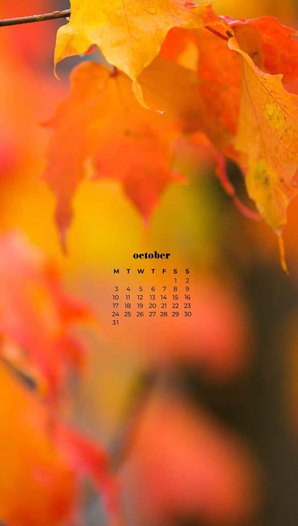 October 2022 wallpapers – 60 FREE desktop & phone calendars
