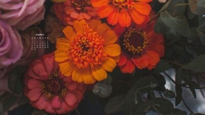 October 2022 wallpapers – 60 FREE desktop & phone calendars