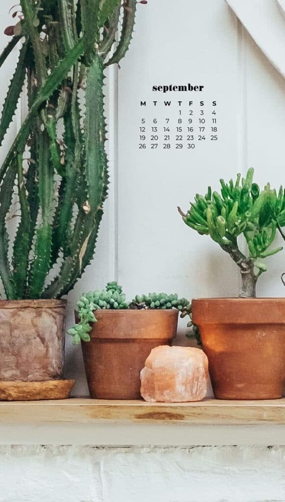 September 2022 wallpapers – 55 FREE desktop & phone calendars