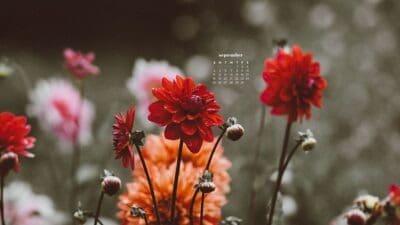 September 2022 wallpapers – 55 FREE desktop & phone calendars