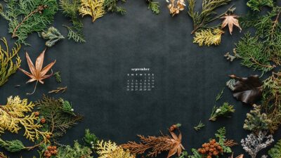 September 2022 wallpapers – 55 FREE desktop & phone calendars