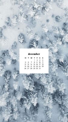 December 2022 wallpapers – 90 FREEBIES for desktop & phones!