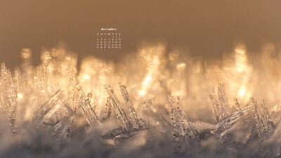 December 2022 wallpapers – 90 FREEBIES for desktop & phones!