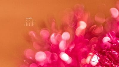 December 2022 wallpapers – 90 FREEBIES for desktop & phones!