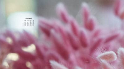 December 2022 wallpapers – 90 FREEBIES for desktop & phones!