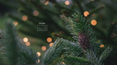 December 2022 wallpapers – 90 FREEBIES for desktop & phones!