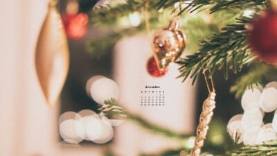 December 2022 wallpapers – 90 FREEBIES for desktop & phones!