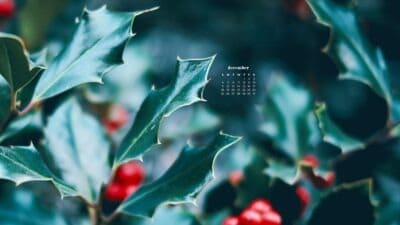 December 2022 wallpapers – 90 FREEBIES for desktop & phones!