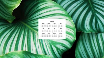 2023 desktop wallpapers– 100 FREE options Sun. & Mon. + no cal.