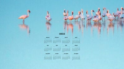 2023 desktop wallpapers– 100 FREE options Sun. & Mon. + no cal.