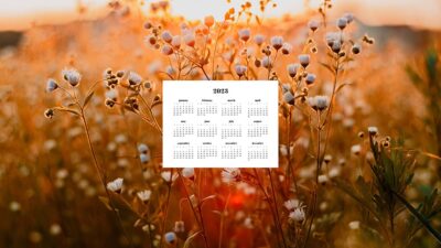 2023 desktop wallpapers– 100 FREE options Sun. & Mon. + no cal.