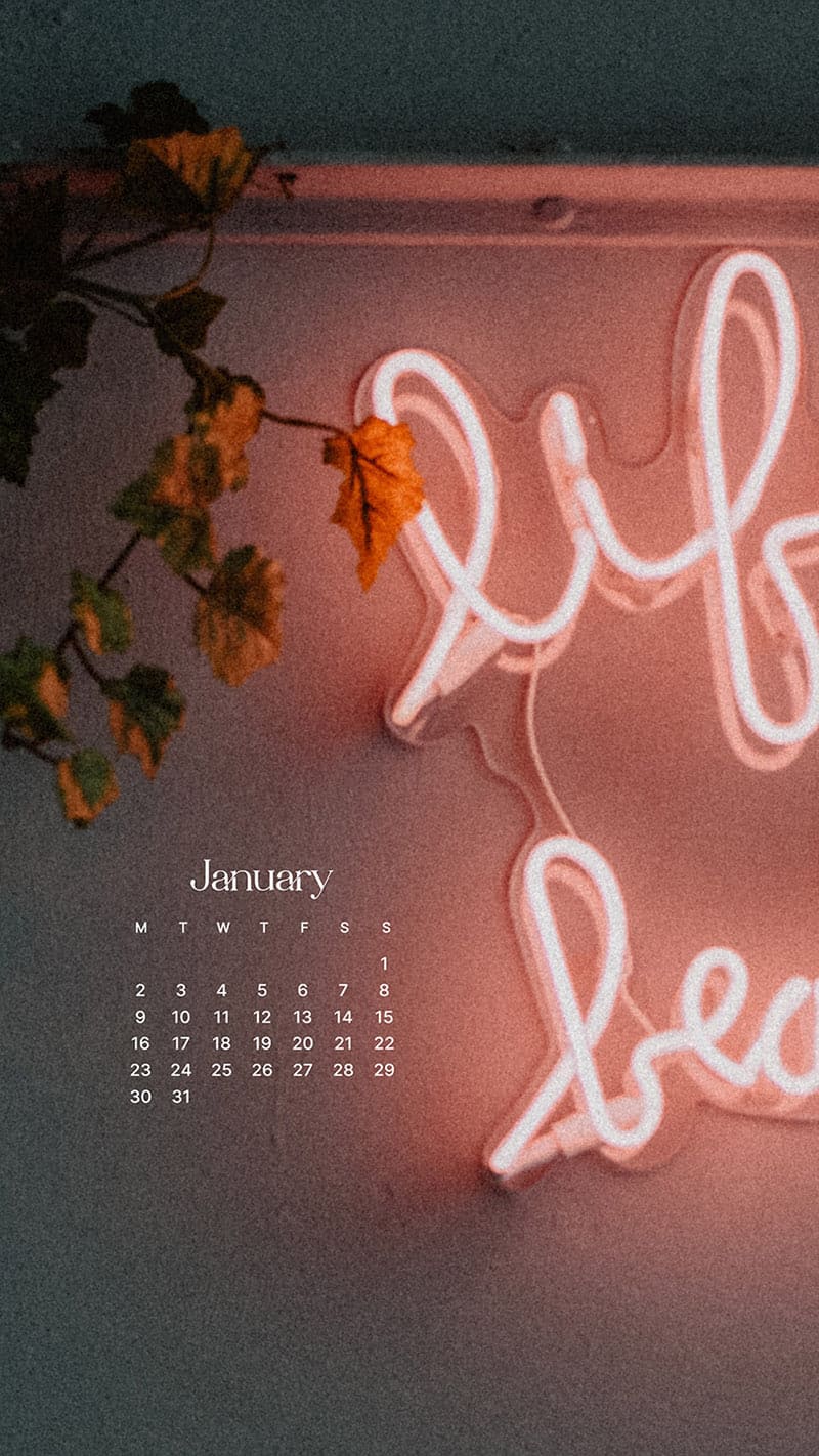 January 2023 wallpapers – 55 FREEBIES for desktop & phones!