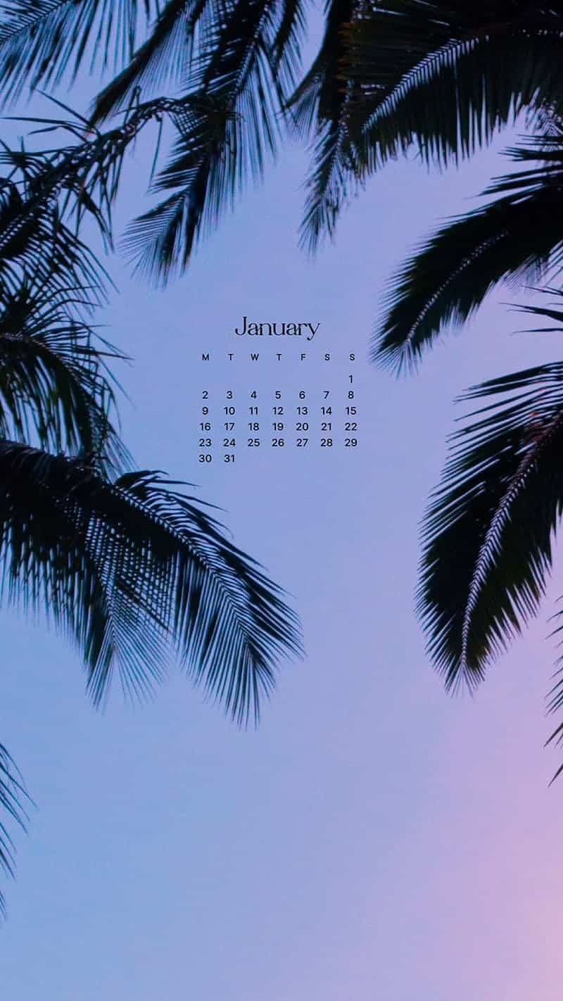 January 2023 wallpapers – 55 FREEBIES for desktop & phones!