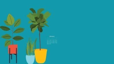 January 2023 wallpapers – 55 FREEBIES for desktop & phones!