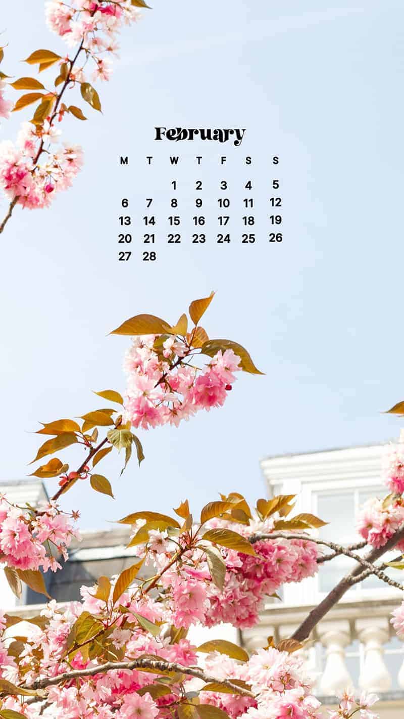 February 2023 wallpapers – 60 FREEBIES for desktop & phones!