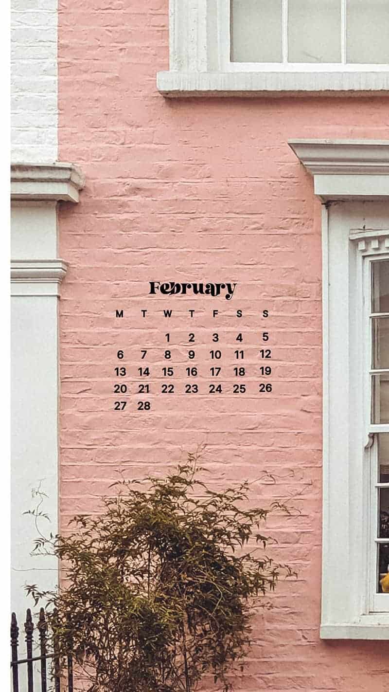 February 2023 wallpapers – 60 FREEBIES for desktop & phones!