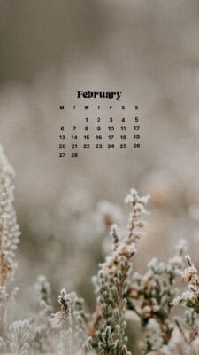 February 2023 wallpapers – 60 FREEBIES for desktop & phones!