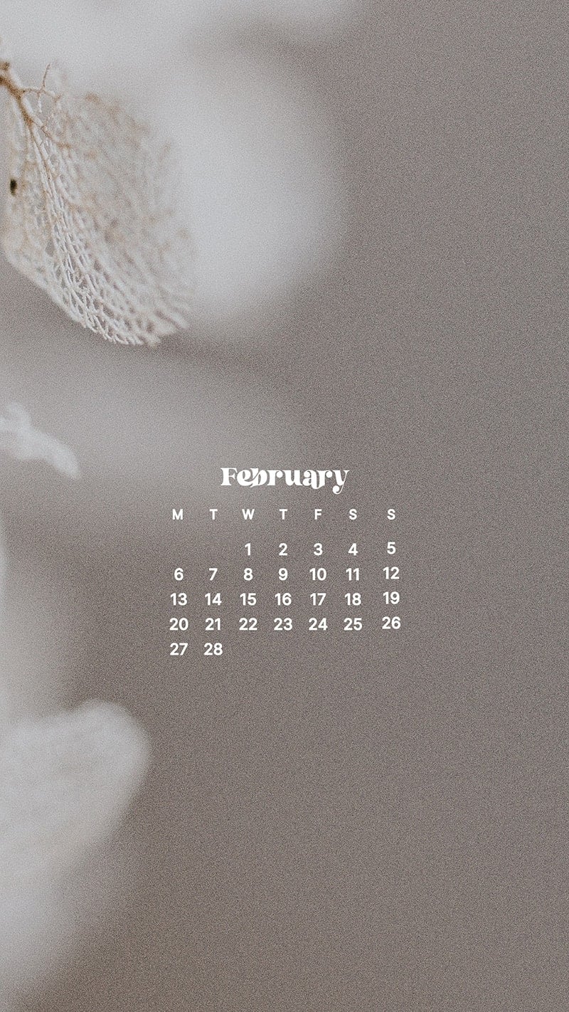 February 2023 wallpapers – 60 FREEBIES for desktop & phones!