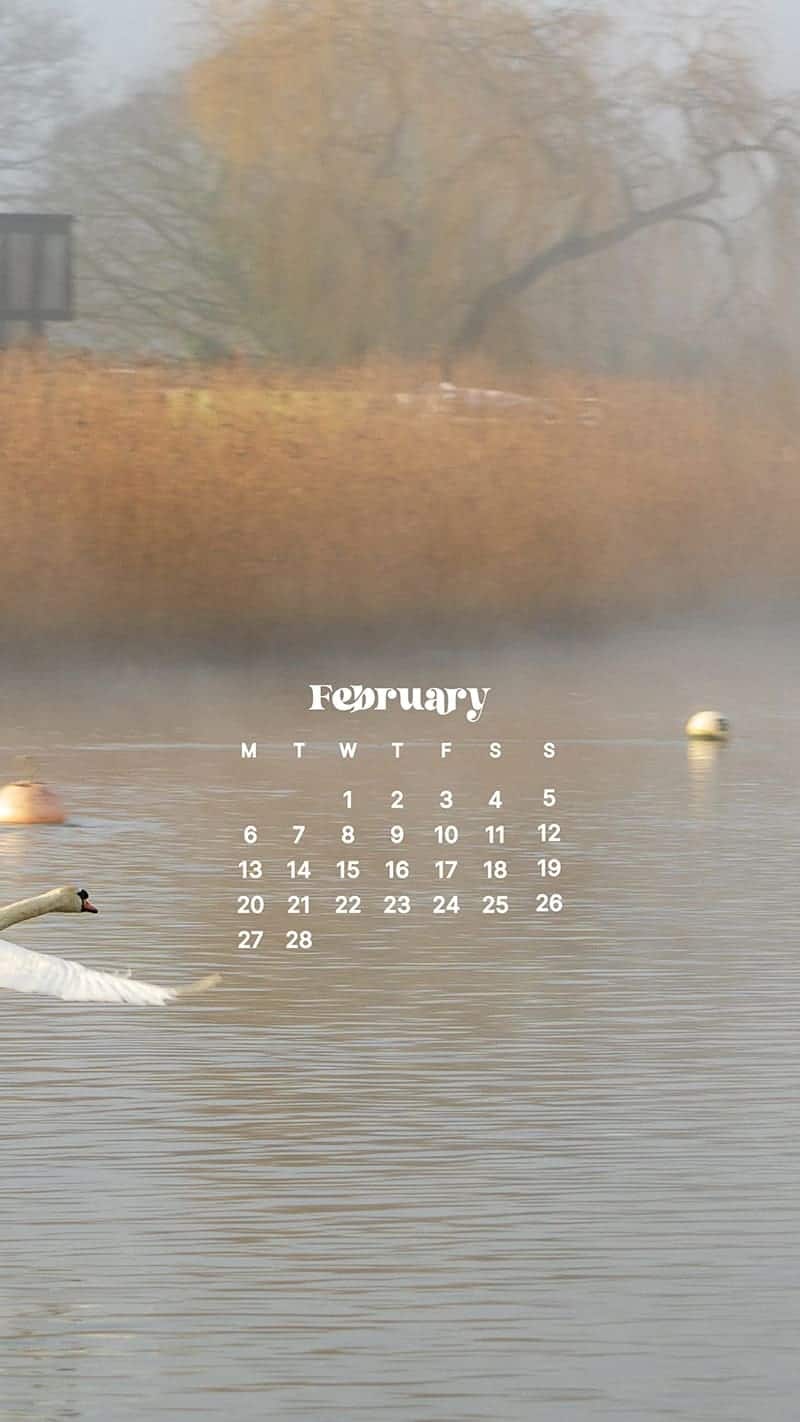 February 2023 wallpapers – 60 FREEBIES for desktop & phones!