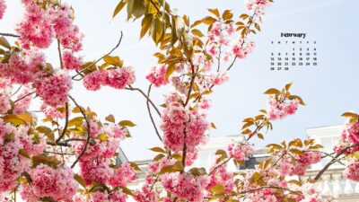 February 2023 wallpapers – 60 FREEBIES for desktop & phones!