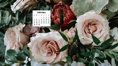 February 2023 wallpapers – 60 FREEBIES for desktop & phones!